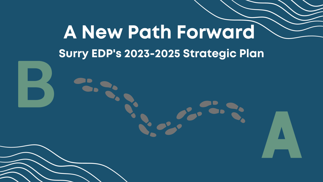 Surry County EDP - A New Strategic Vision